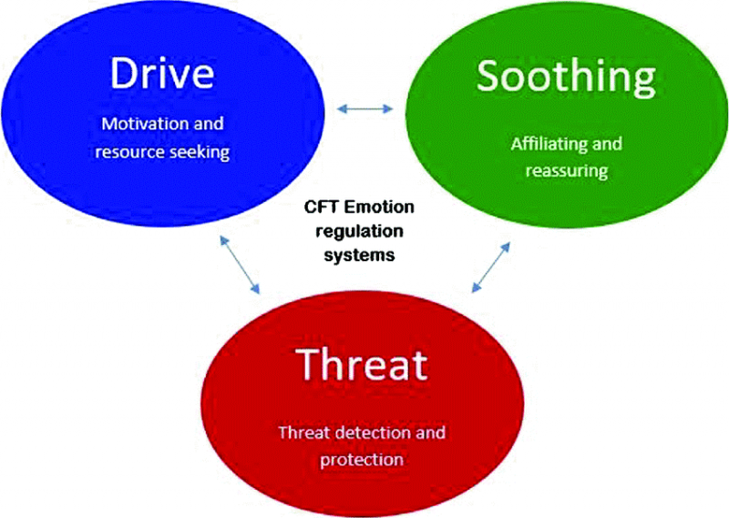 شفقت درمانی چیست؟ - مدرسه روانشناسی واران